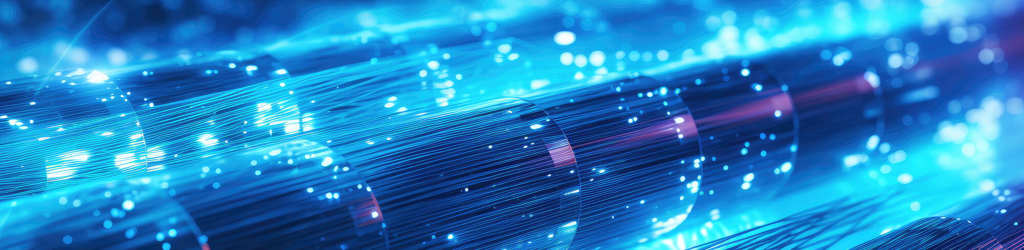 Fiber Network Management